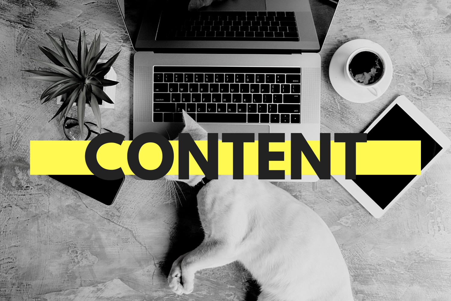 writer, editor, content strategist